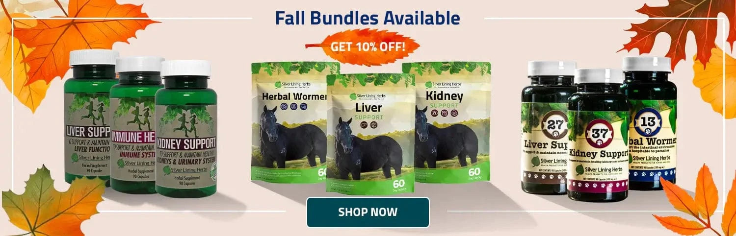Herbal Supplements: Horses, Dogs, & Humans – Silver Lining Herbs