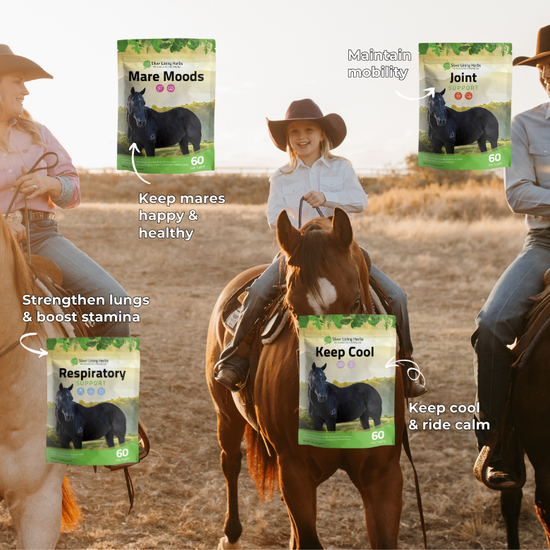 Herbal Supplements: Horses, Dogs, & Humans – Silver Lining Herbs