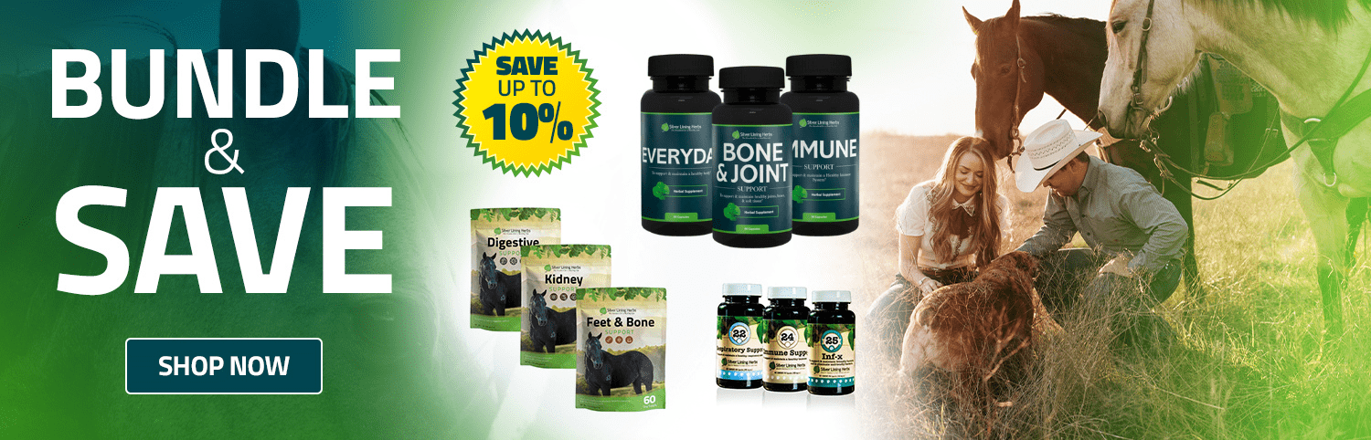 Herbal Supplements: Horses, Dogs, & Humans – Silver Lining Herbs