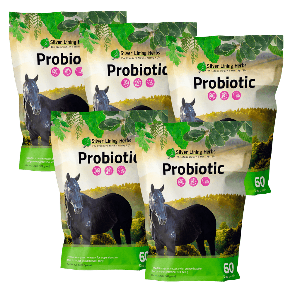 Horse Probiotics for Digestive Balance – Silver Lining Herbs