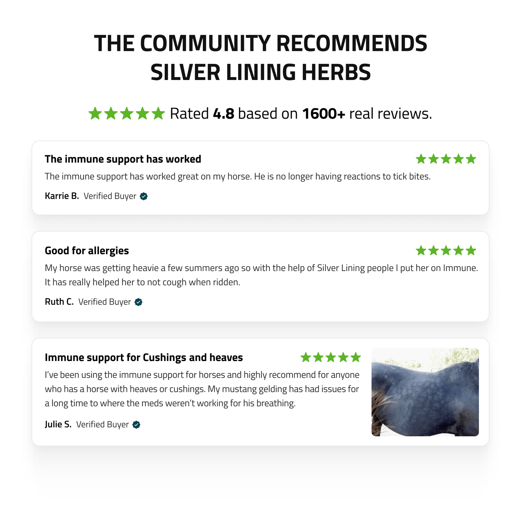 Boost Immunity, Enhance Health in Horses with Silver Lining Herbs Immu