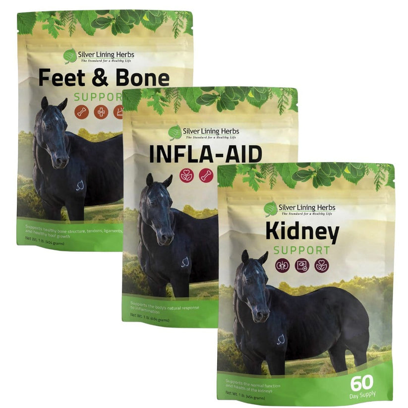 Lameness Bundle For Horses - Natural Herbs - Silver Lining Herbs