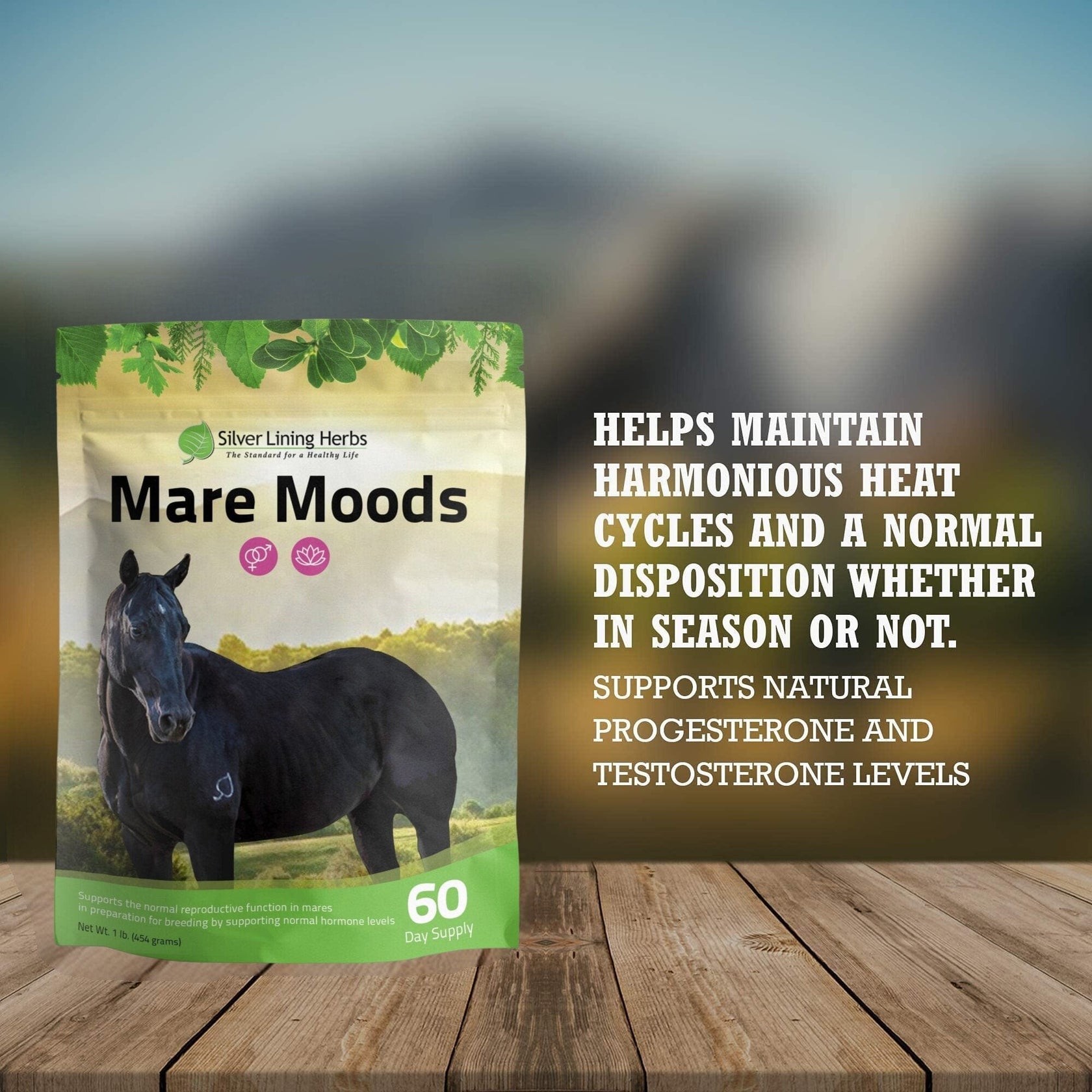 Herbal Supplements for Moody Mares: For Mares In Heat – Silver Lining Herbs