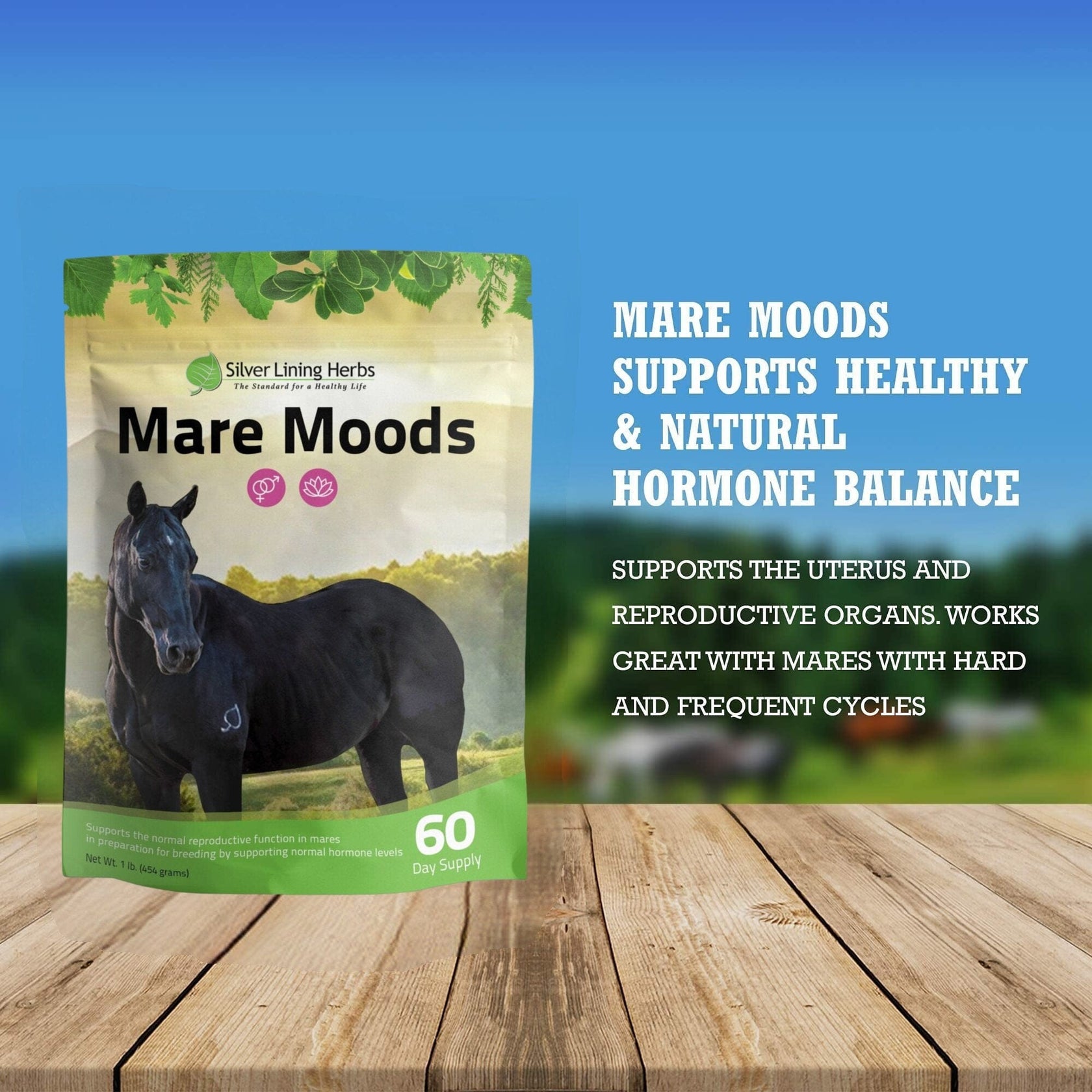 Herbal Supplements for Moody Mares: For Mares In Heat – Silver Lining Herbs