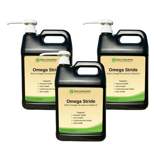 Omega Stride for Horses – Silver Lining Herbs