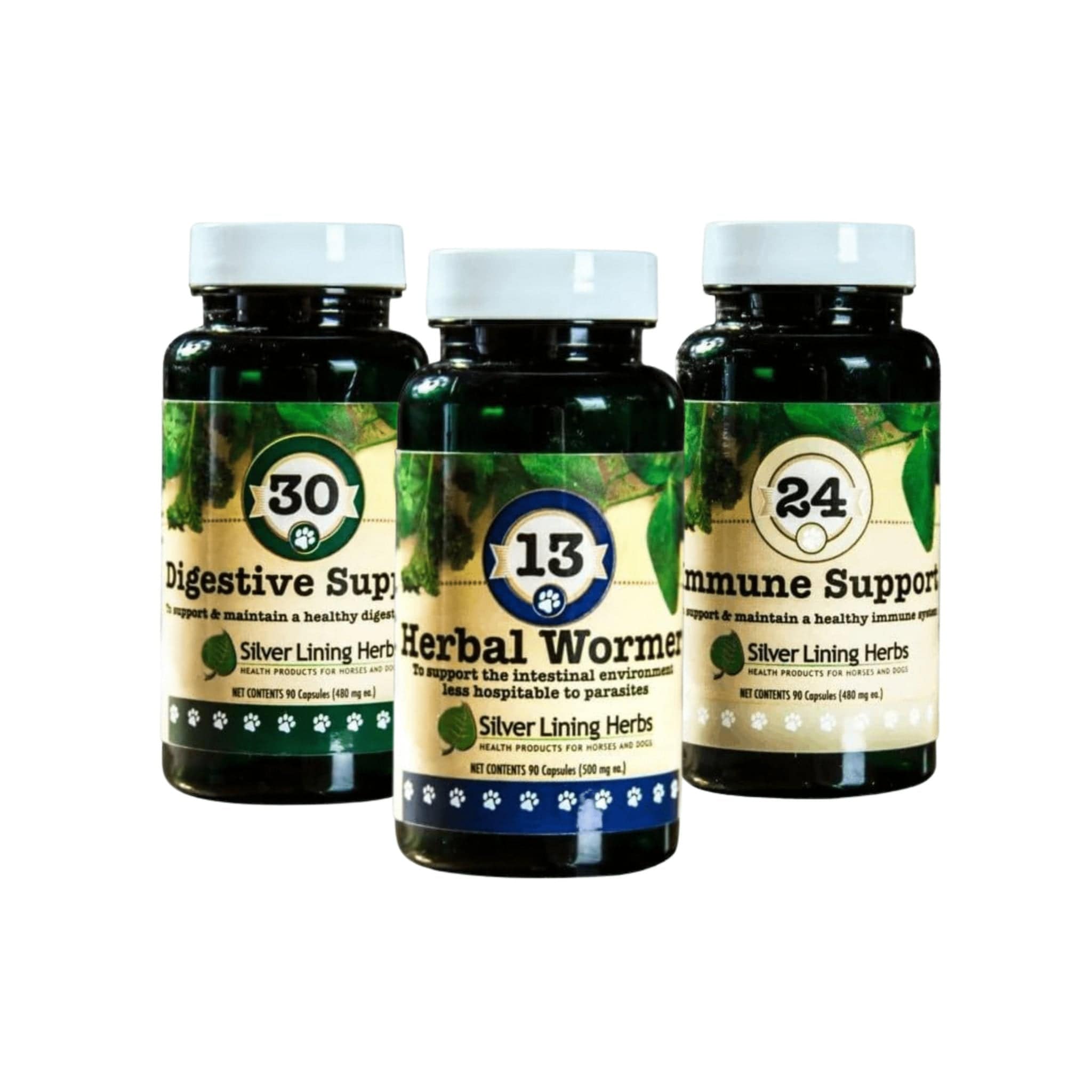 Ultimate Deworming Bundle for Canines – Silver Lining Herbs