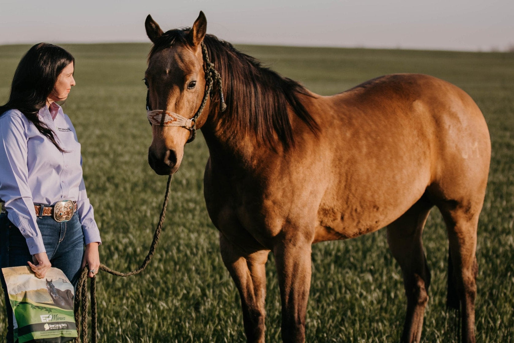 Defend Your Horse Against EPM Naturally – Silver Lining Herbs