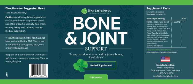 Herbal Bone & Joint Support — Natural Mobility Health Aid – Silver ...